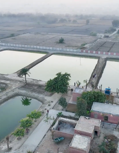 Department of Aquaculture and Fisheries - Punjab
